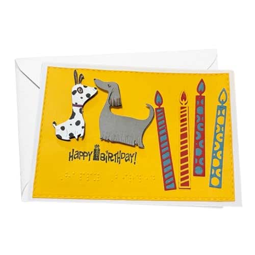 Amazon.com: Greetingsinbraille All Blind Greeting Gift Cards for ...