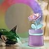 Amazon.com: 260ml Cool Mist Humidifier with Cute Flower, USB Humidifier ...
