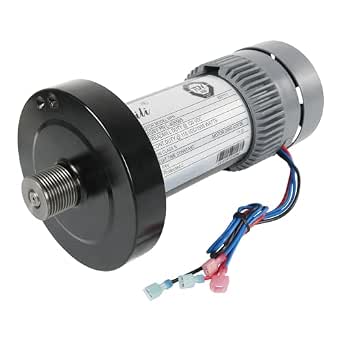 Treadmill DC Drive Motor with Flywheel Compatible with NordicTrack ...