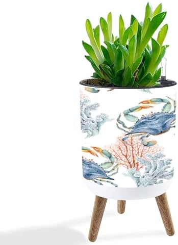 Amazon.com : 47th & Main Unique Shaped Ceramic Flower Pot Planter for ...