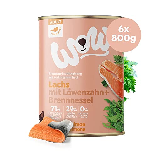 Wow Hundefutter – Die 15 besten Produkte im Vergleich - HundeINFOPortal