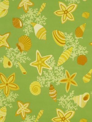 Amazon.com: Sample - BEACH BONGO CITRUS