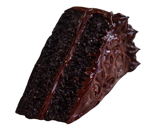 Amazon.com: Devil's Food Chocolate Cake Slice Miniatire Food Magnet ...