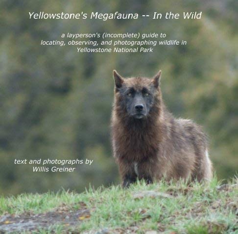 Yellowstone's Megafauna / In the Wild: Willis Greiner: 9781714634262 ...
