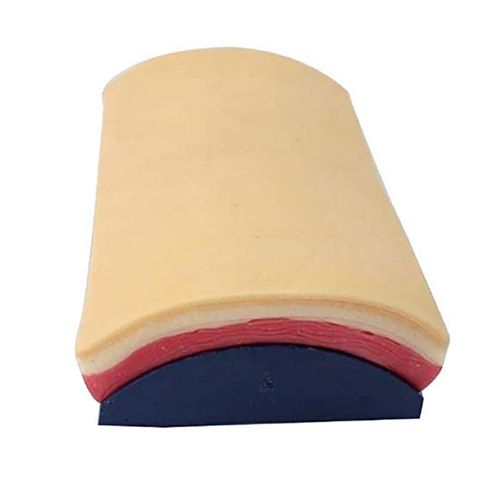 Buy ZQDL Human Skin Model Pad Simulation Medical Suture Training ...