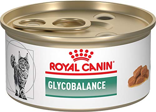 Top 10 Royal Canin Diabetic Wet Cat Food