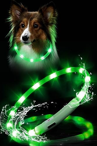 Waterproof LED Dog Collar USB Rechargeable Light Up Dog Collars Lights ...