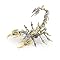 Amazon.com: Metalkitor Scorpion 3D Metal Puzzles Kits for Adults Teens ...