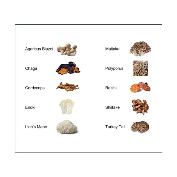 Mushroom Extract Powder - Powerful 10 Blend, Organic Lions Mane ...