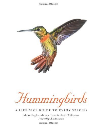 Hummingbirds: A Life-Size Guide to Every Species by Michael Fogden ...