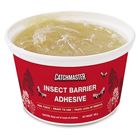 Contech 018441950082 Tanglefoot 300000588 8-Ounce Tangle Brush On ...