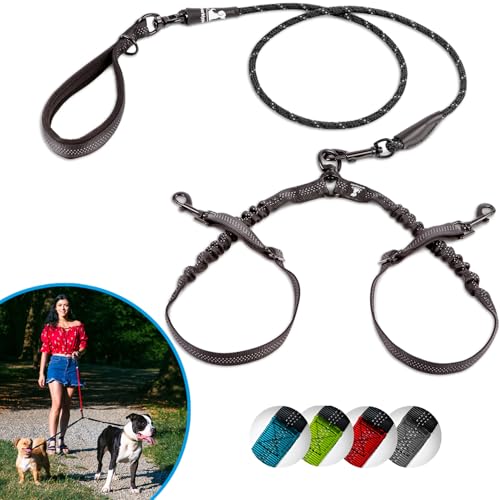 Amazon Best Sellers: Best Dog Double Leashes
