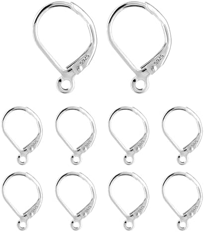 Beebeecraft 1 Box 20Pcs Pure Titanium Earring Fish Hooks Silver Earring ...