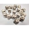 Amazon.com: Bag of Small Plastic Skulls - 18 pieces: Party Decorations ...