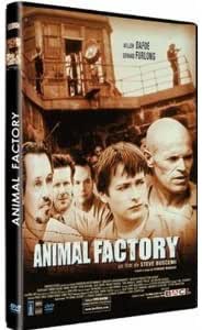 Animal factory: Amazon.fr: Dafoe, Willem, Furlong, Edward, Heard, John ...