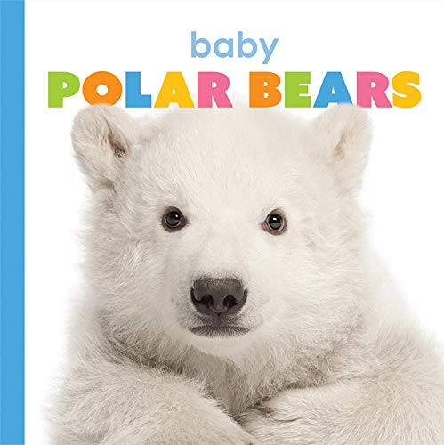 Baby Polar Bears (Starting Out): Riggs, Kate: 9781628328851: Amazon.com: Books