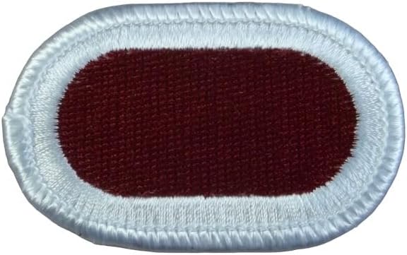 Amazon.com: United States Army 307Th Airborne Medical Battalion Type 2 ...