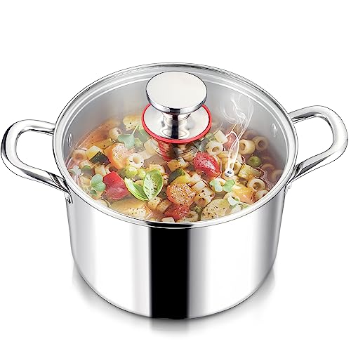 Top 10 Best Pots For Making Soup : Reviews & Buying Guide - Katynel