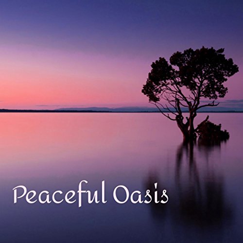 Amazon.com: Peaceful Oasis - Soothing Sounds of Nature Music for Adult ...