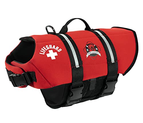 10 Best Dog Coats for 2024: Top Picks for Your Furry Friend