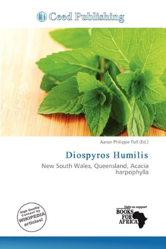 Amazon.co.jp: Diospyros Humilis : 本