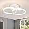 EIDISUNY LED Ceiling Light Modern Ceiling Lamp Silver Round Simple ...