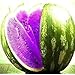 Amazon.com : MITRAEE Fresh 100pcs Watermelon Fruit Vegetable Seeds for ...