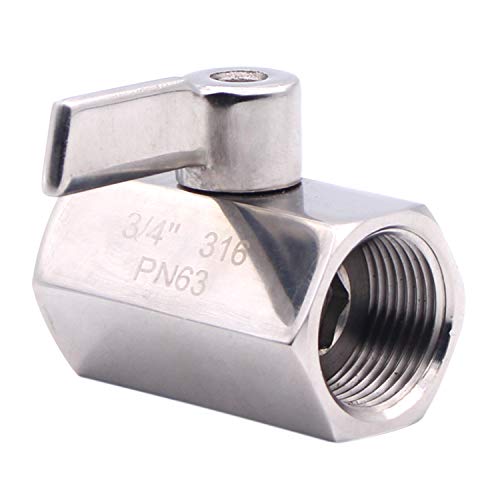 DERNORD 3/4 Inch NPT Ball Valve Female&Female with Stainless Steel ...