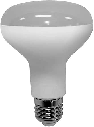G.A.L LED R80 Bathroom Globe Light Bulb 12W Daylight 6500K E27 Screw ...