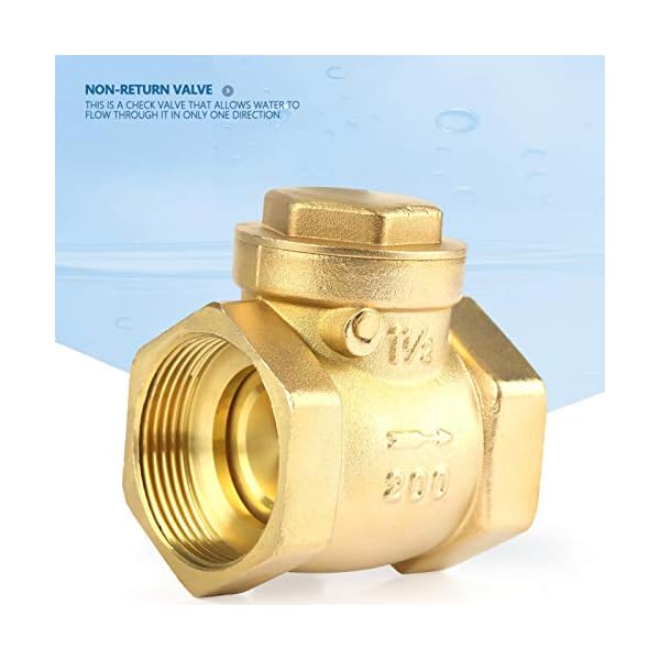 Brass Check Valve, DN40 BSP BSP 1-1/2" Female Thread Brass Non-Return ...