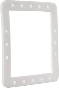 Amazon.com: ArrogantF SPX1091G Butterfly Gasket Replacement for Hayward ...