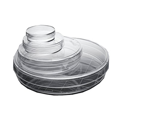 Falcon 353003 Cell Culture Dish, Standard TC-Treated, 100 mm x 20 mm ...