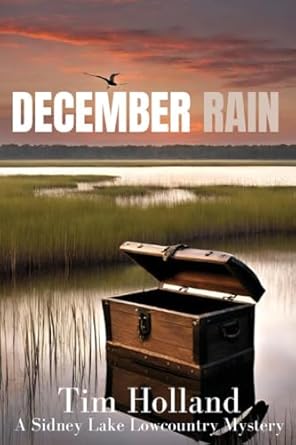 Amazon.com: December Rain: 9781961548060: Holland, Tim: Books