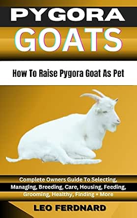 PYGORA GOAT How To Raise Pygora Goat As Pet : Complete Owners Guide To ...