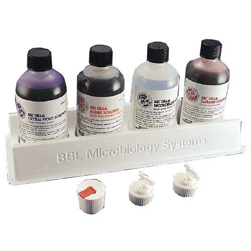 BD Diagnostic 212525 Gram Crystal Violet Stain Solution, 250 mL (Pack ...