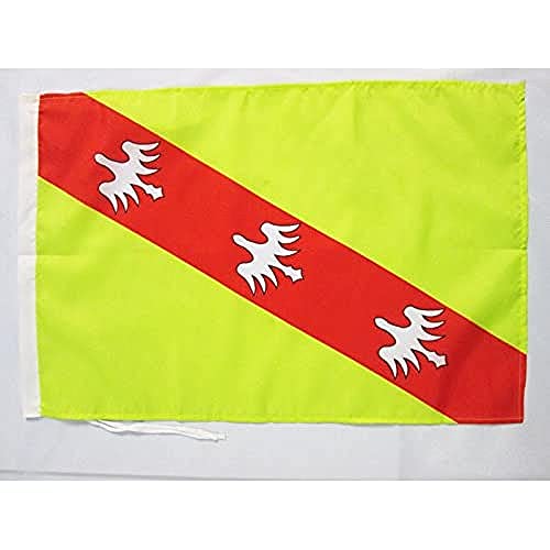 Lorraine Flag 18” x 12” cords – French region of Lorraine SMALL flags ...