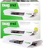 German Roaches: Best Prevention Tips + Quick Facts