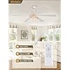 Fanbulous 65 Inch Ceiling Fan with Lights, Farmhouse Caged Ceiling Fans ...