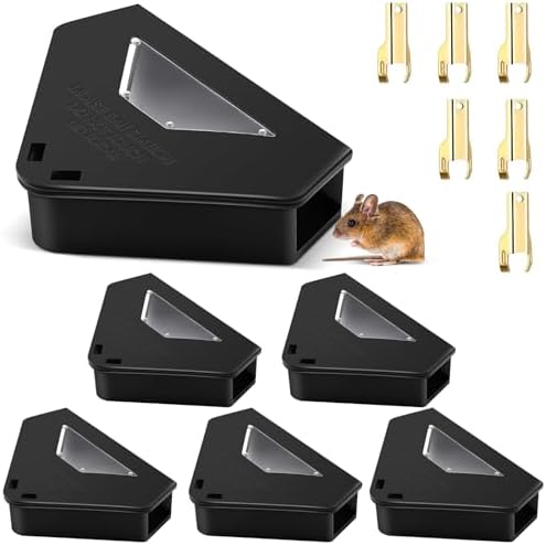 Amazon.com : Kat Sense Mouse Bait Station, Rodent Box to Secure Mice ...