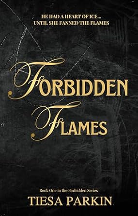 Forbidden Flames: A brother's best friend billionaire romance (The ...