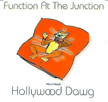 Function at the Junction - Amazon.com Music