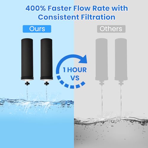 Purewell Enhanced Black Water Filter with Activated Carbon – Compatible ...