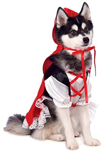 45 Top Couple and Dog Halloween Costumes for the Spooky Season ...