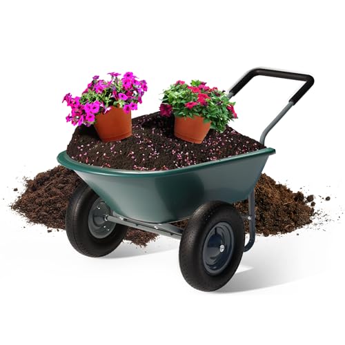 2 Wheel Wheelbarrow – The 15 best products compared - Seeds and Spades