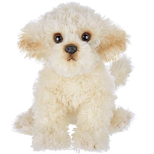 Top 10 White Teddy Dogs You Can't Resist: A Comprehensive Review and ...