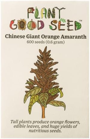 Amazon.com : CHUXAY GARDEN Red Leaf Callaloo Seed 3000 Seeds Edible ...