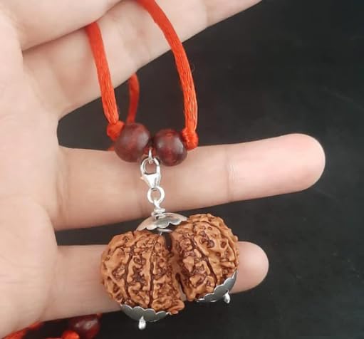 NEXG Genuine Gauri Shankar Rudraksha Certified Nepali AAA+++ Quality Gori Shankar Rudraksha With ...