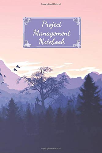 Amazon.com: Project Management Notebook: Taking Minutes of Meetings ...