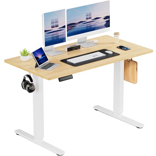 Snapklik.com : 48 Inch Electric Standing Office Desk Height Adjustable ...