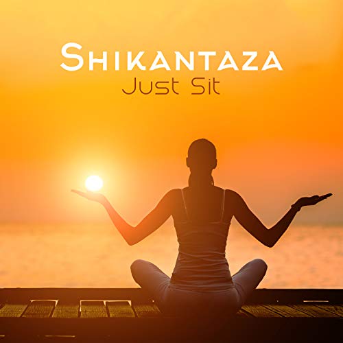 Shikantaza: Just Sit (Zen Buddhist Meditation Music) von Buddhist ...
